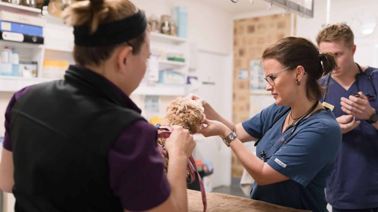 Falling vs Failing - How to Recognise the Difference (and do something ...