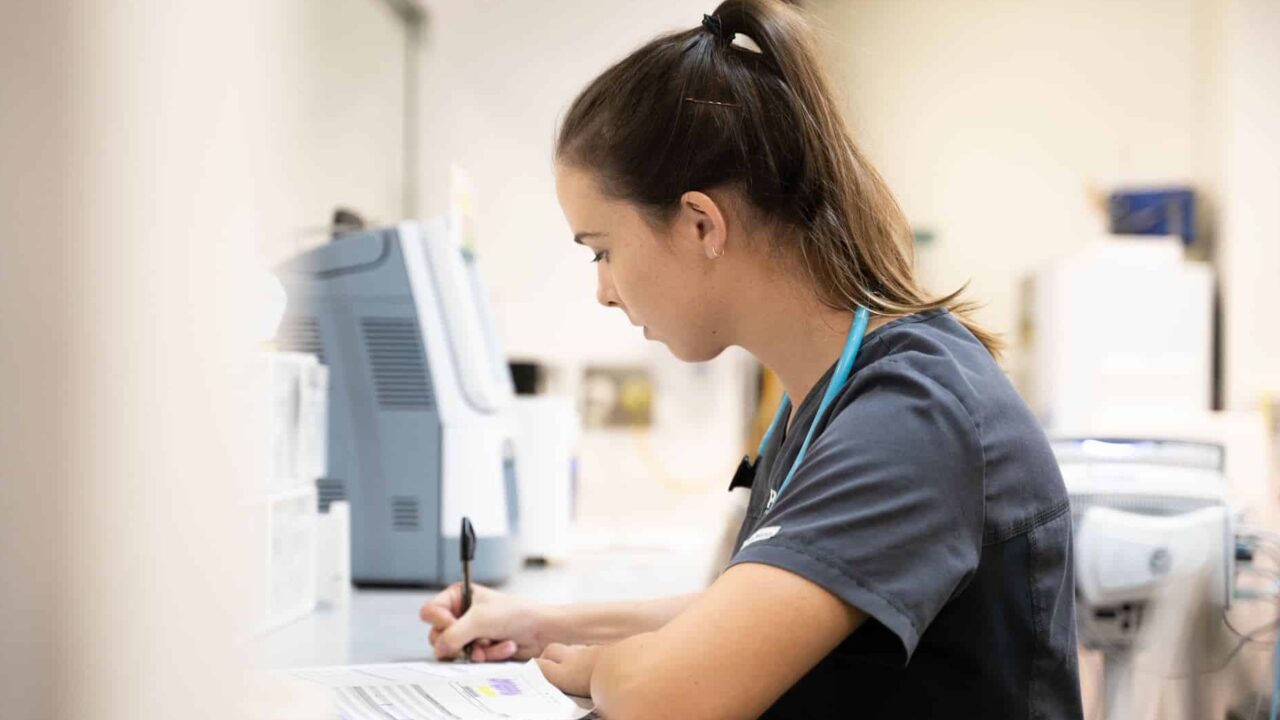 Tips on Finding the Time for Continuing Vet Education - Our Blog ...