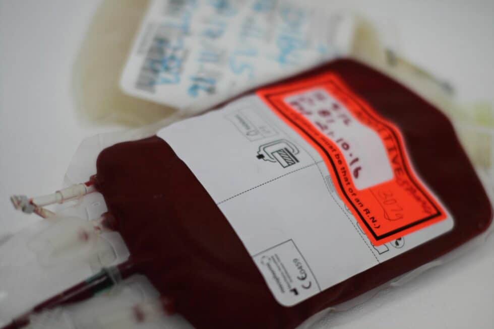 The AEA Guide to Canine and Feline Transfusion Medicine | AEA