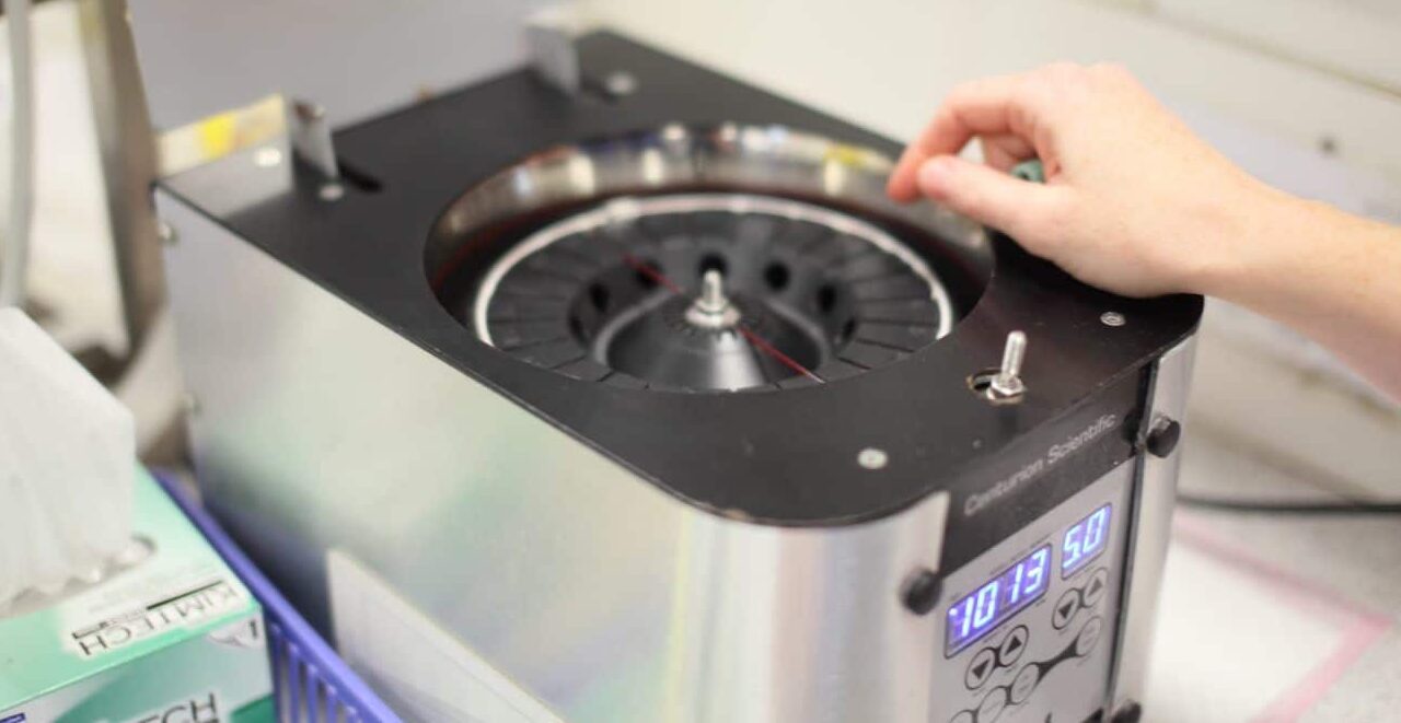 GDV in Dogs - Diagnosis, Treatment, and Management | Animal Emergency ...