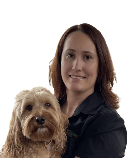 Emergency Vet Brisbane | Animal Emergency Service Underwood